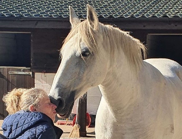Elm Tree Farm Wellbeing Centre | Visit Portishead CIC